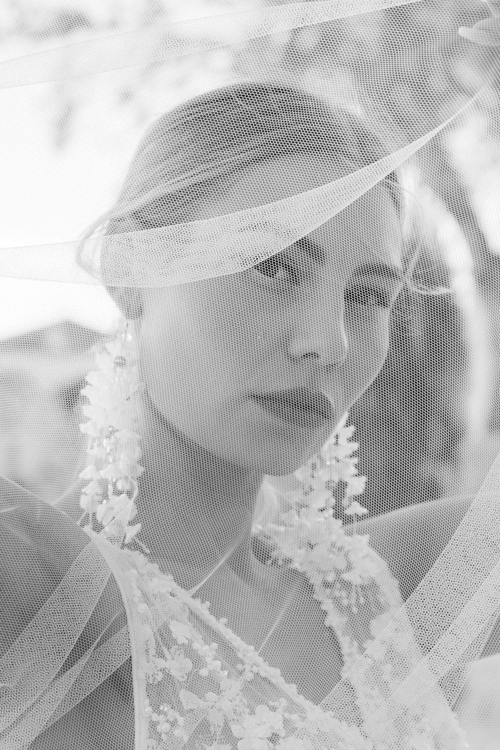 Nature Sauvage – Elisa Ness